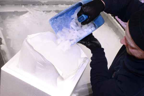 Dry Ice Prices - Ammonia Surcharge - Dry Ice Network